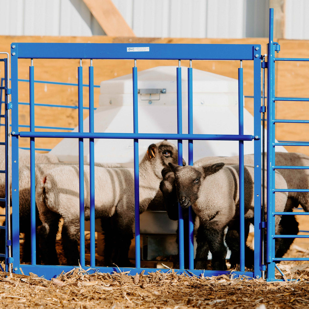 Lambing & Kidding Pens | Sheep & Goat Maternity Pens | Sydell – Sydell, Inc