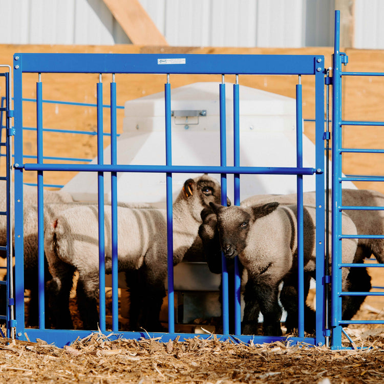Lambing & Kidding Pens | Sheep & Goat Maternity Pens | Sydell – Sydell, Inc