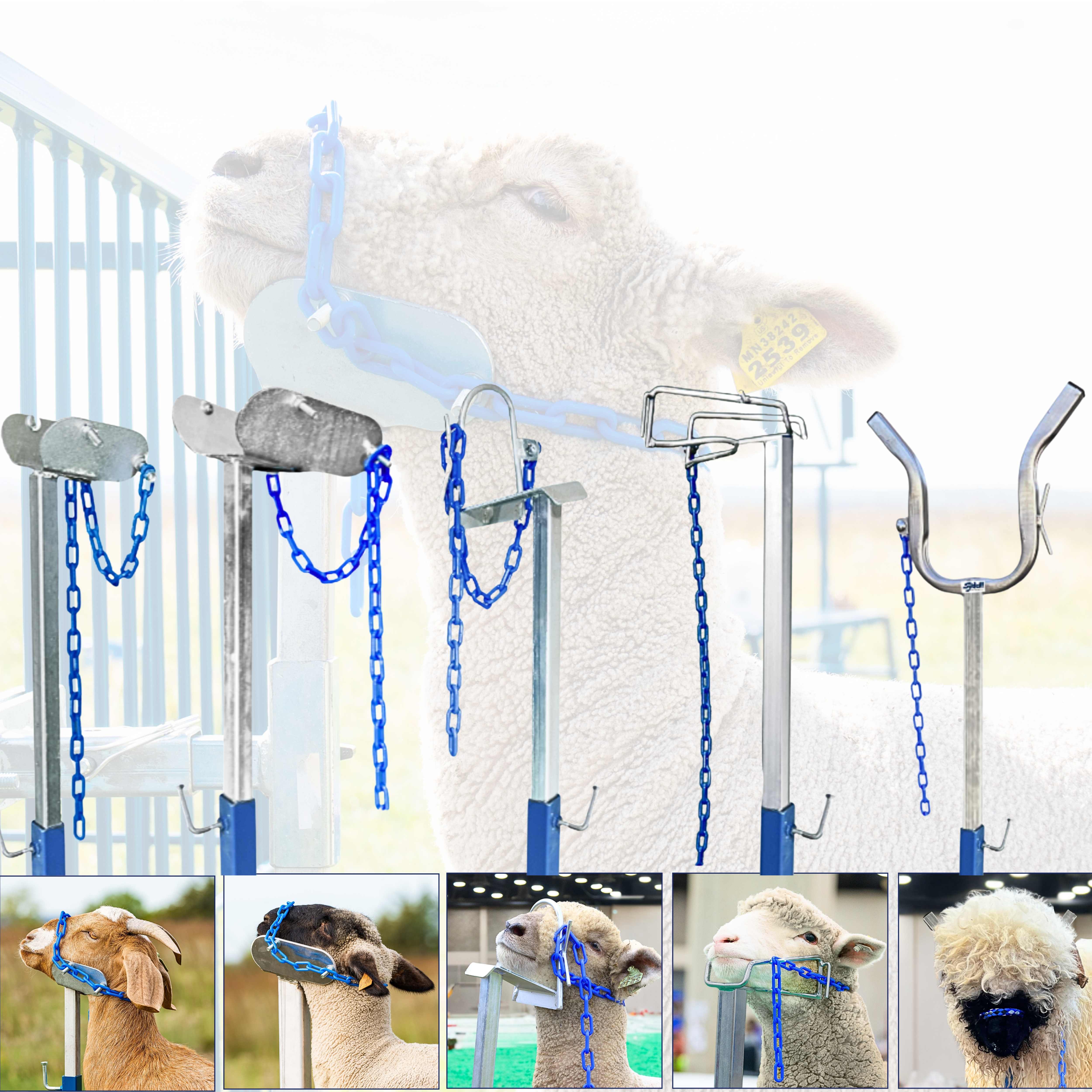 Sheep & Goat Show Equipment | Fitting Stands & Show Stands | Sydell ...