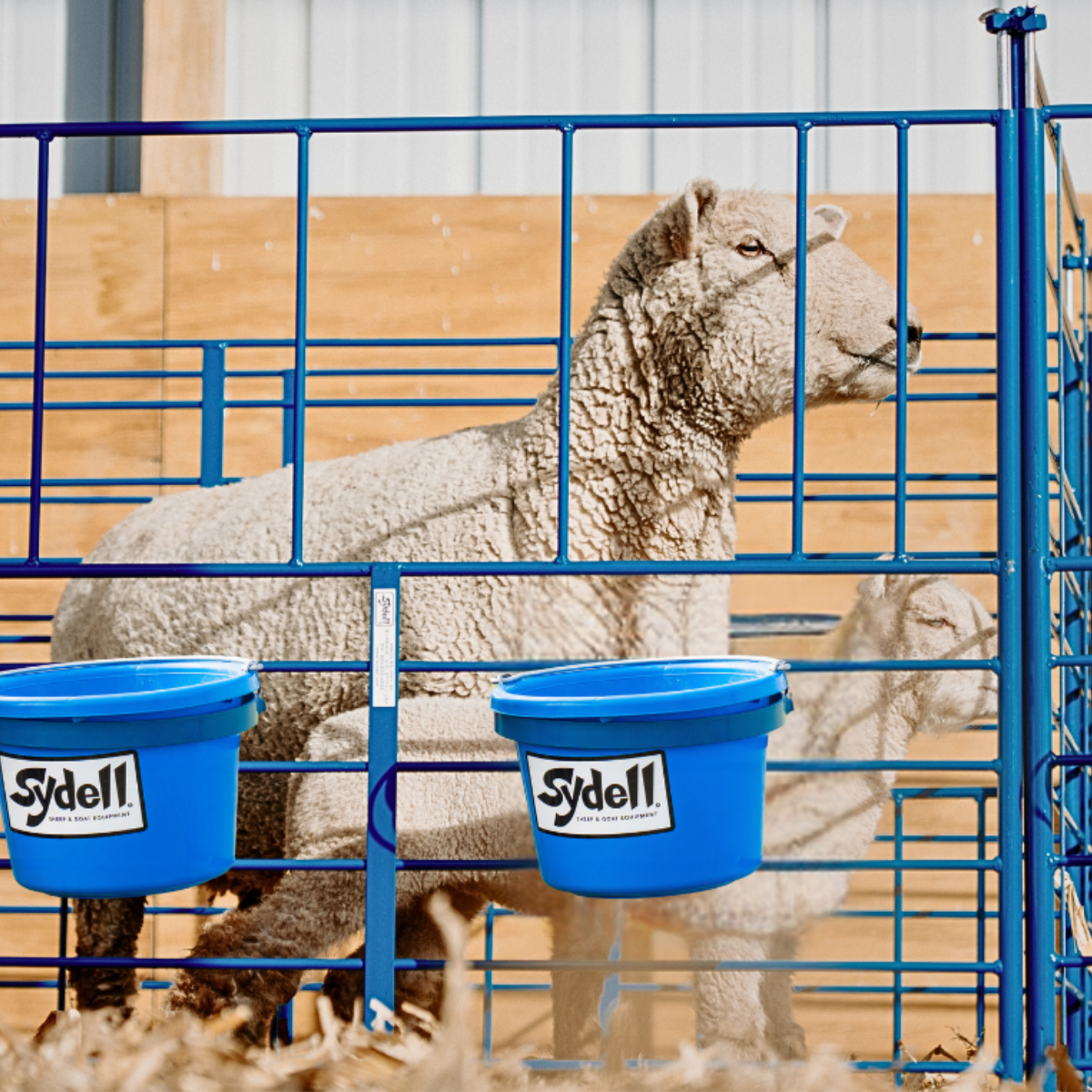 Lambing & Kidding Pens | Sheep & Goat Maternity Pens | Sydell – Sydell, Inc