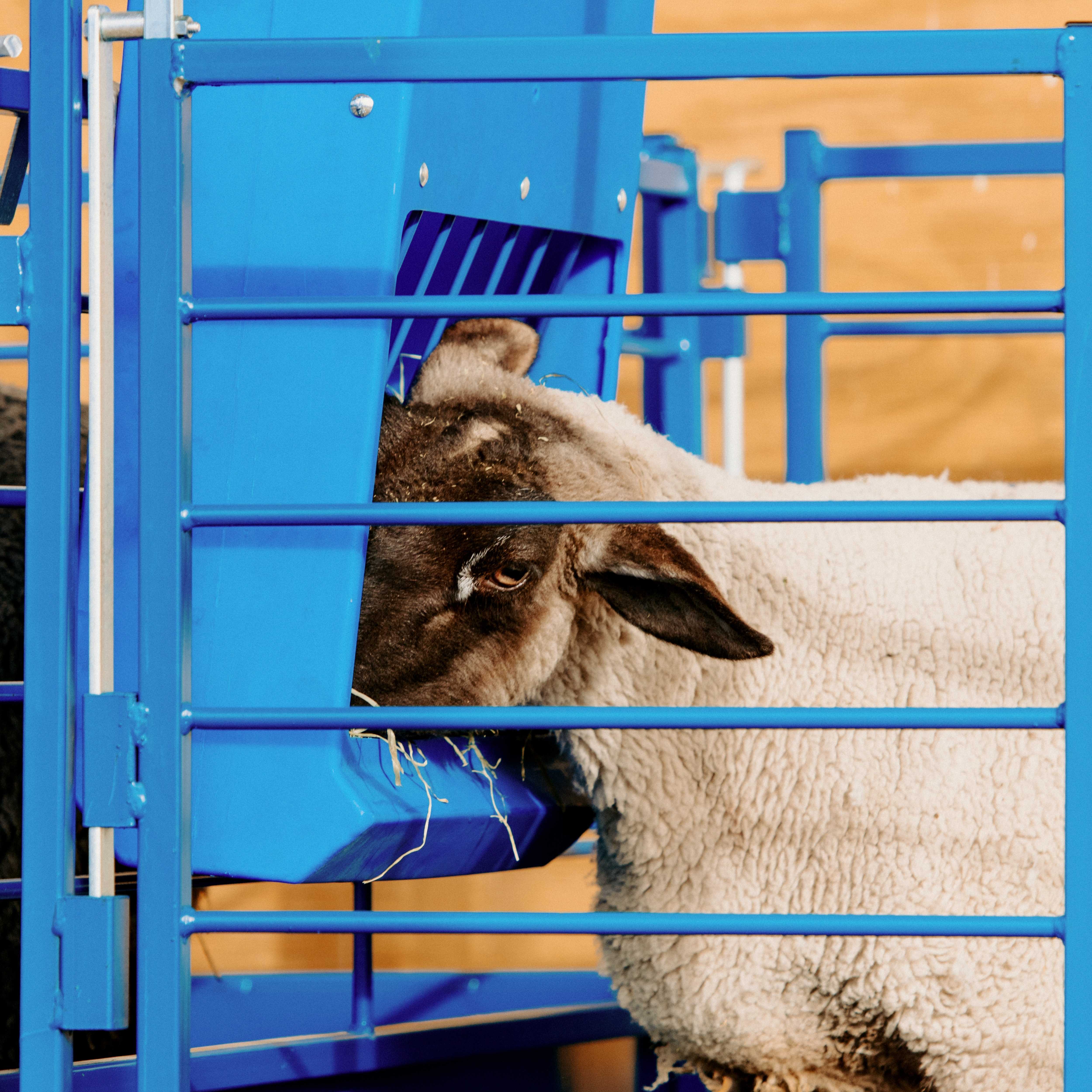 Lambing Pen Accessories – Sydell, Inc
