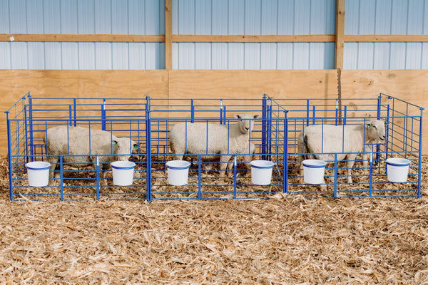 Freestanding Starter Pens – Sydell, Inc