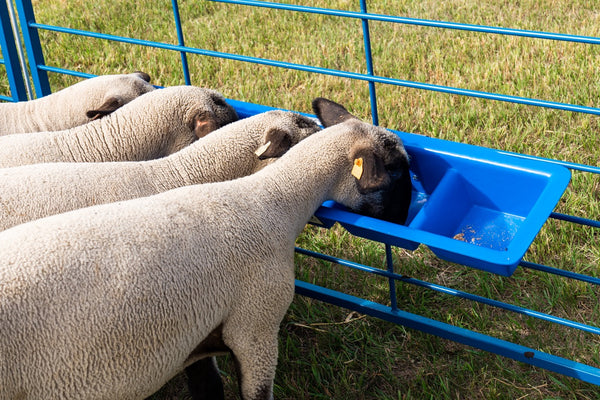 4' Divided Poly Trough (1024-5) – Sydell, Inc