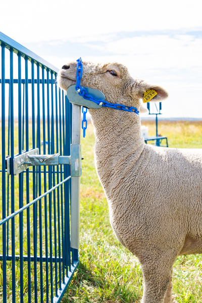 Portable Panel Mount Head Holder (729) Head Piece not included ...