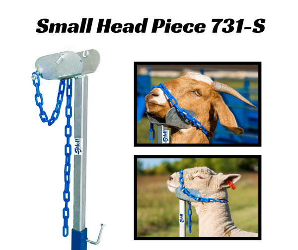 Small Head Piece for Livestock - Lightweight Show Harness | Sydell ...