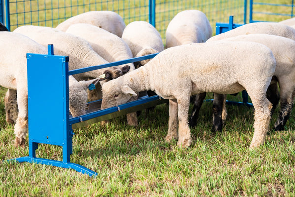 Grain Feeder, V Trough (852V-4) – Sydell, Inc