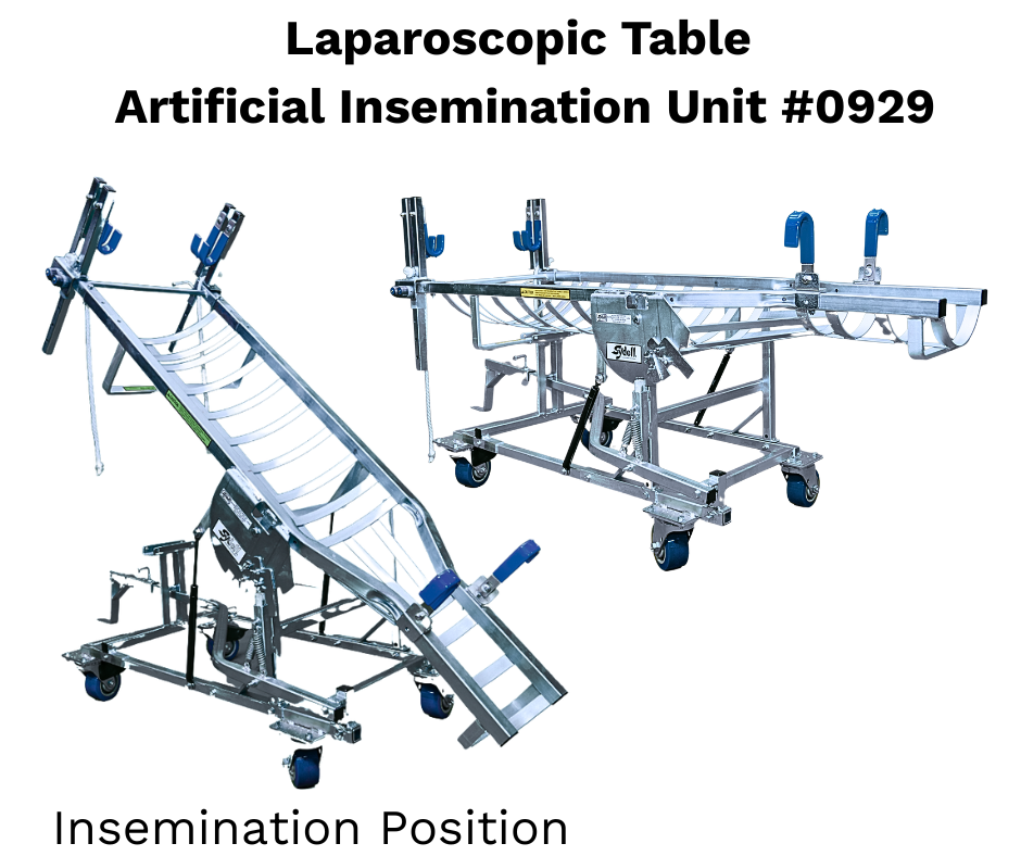 Sheep & Goat Laparoscopic AI Table | Artificial Insemination & Embryo ...