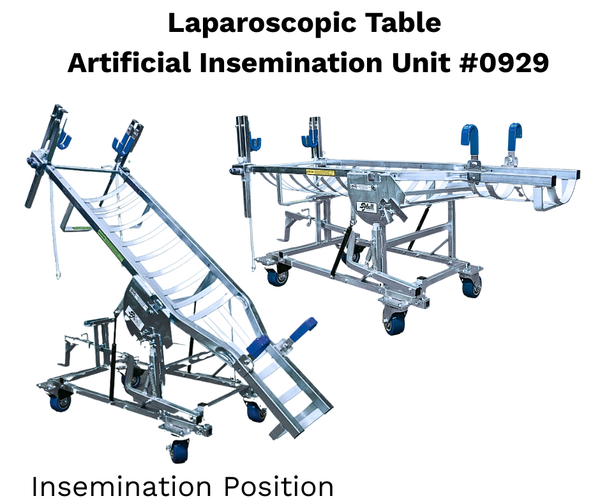 Sheep & Goat Laparoscopic AI Table | Artificial Insemination & Embryo ...