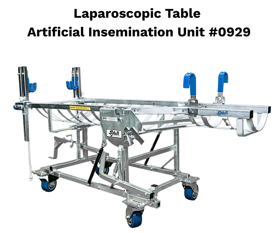 Sheep & Goat Laparoscopic AI Table | Artificial Insemination & Embryo ...