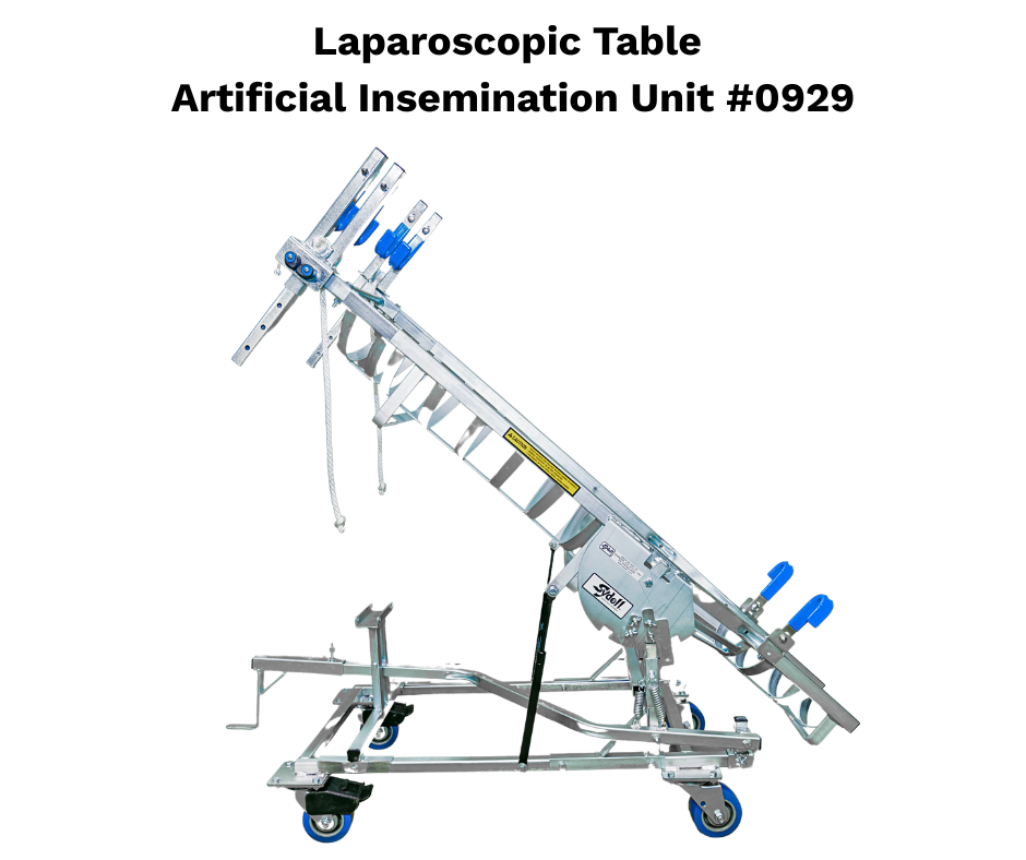 Sheep & Goat Laparoscopic AI Table | Artificial Insemination & Embryo ...