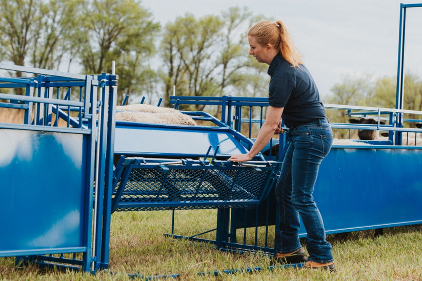 Sheep & Goat Working Stock Equipment | Handling & Management | Sydell ...