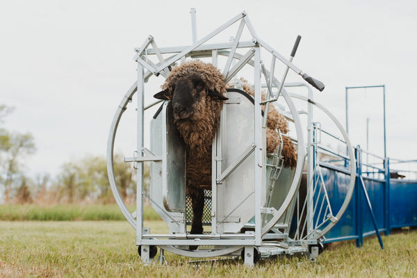 Deluxe Spin Doctor (938) – Sydell, Inc