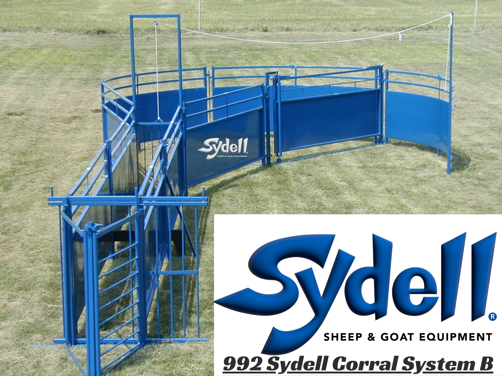 Sheep & Goat Working Stock Equipment | Handling & Management | Sydell ...