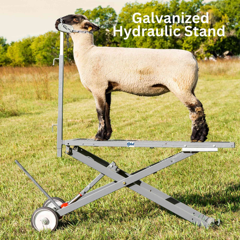 Hydraulic Stand (780) | Sheep & Goat Show Equipment | Sydell – Sydell, Inc