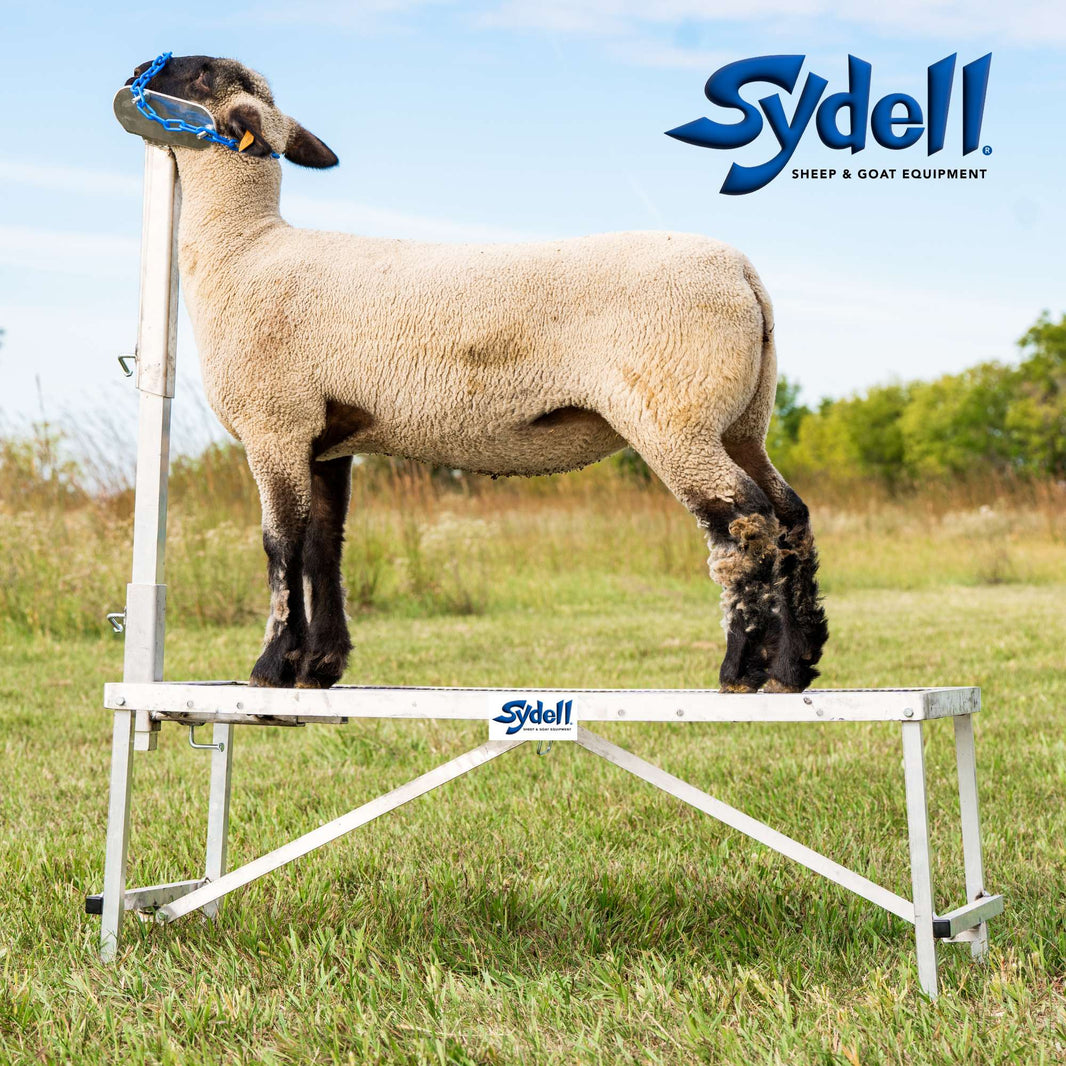 Sheep & Goat Show Equipment | Fitting Stands & Show Stands | Sydell ...