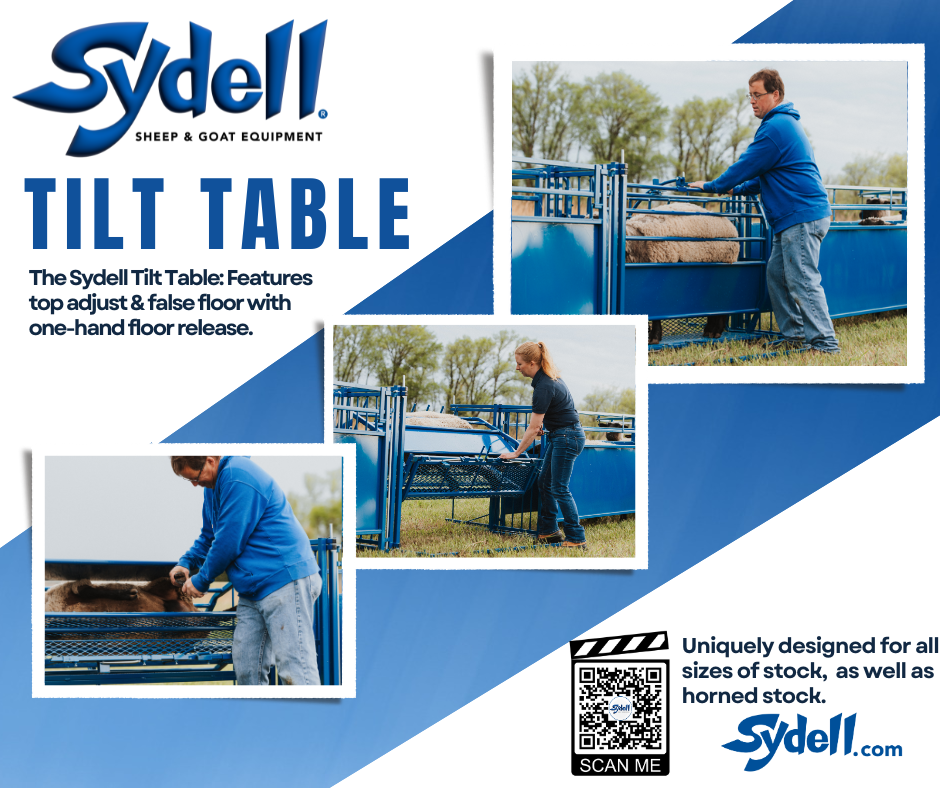 Tilt Table (930) – Sydell, Inc
