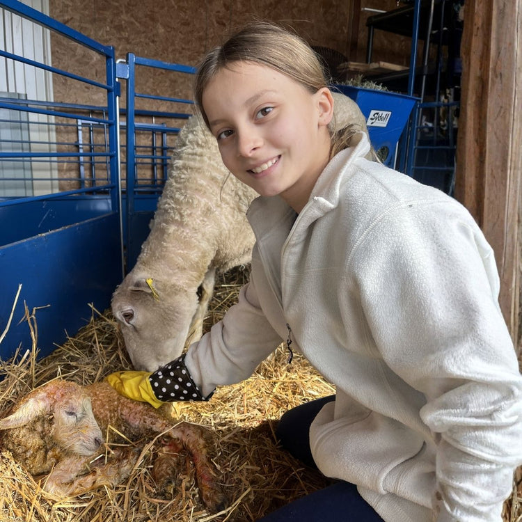 Sheep & Goat Equipment | Panels, Feeders & Lambing Pens | Sydell ...